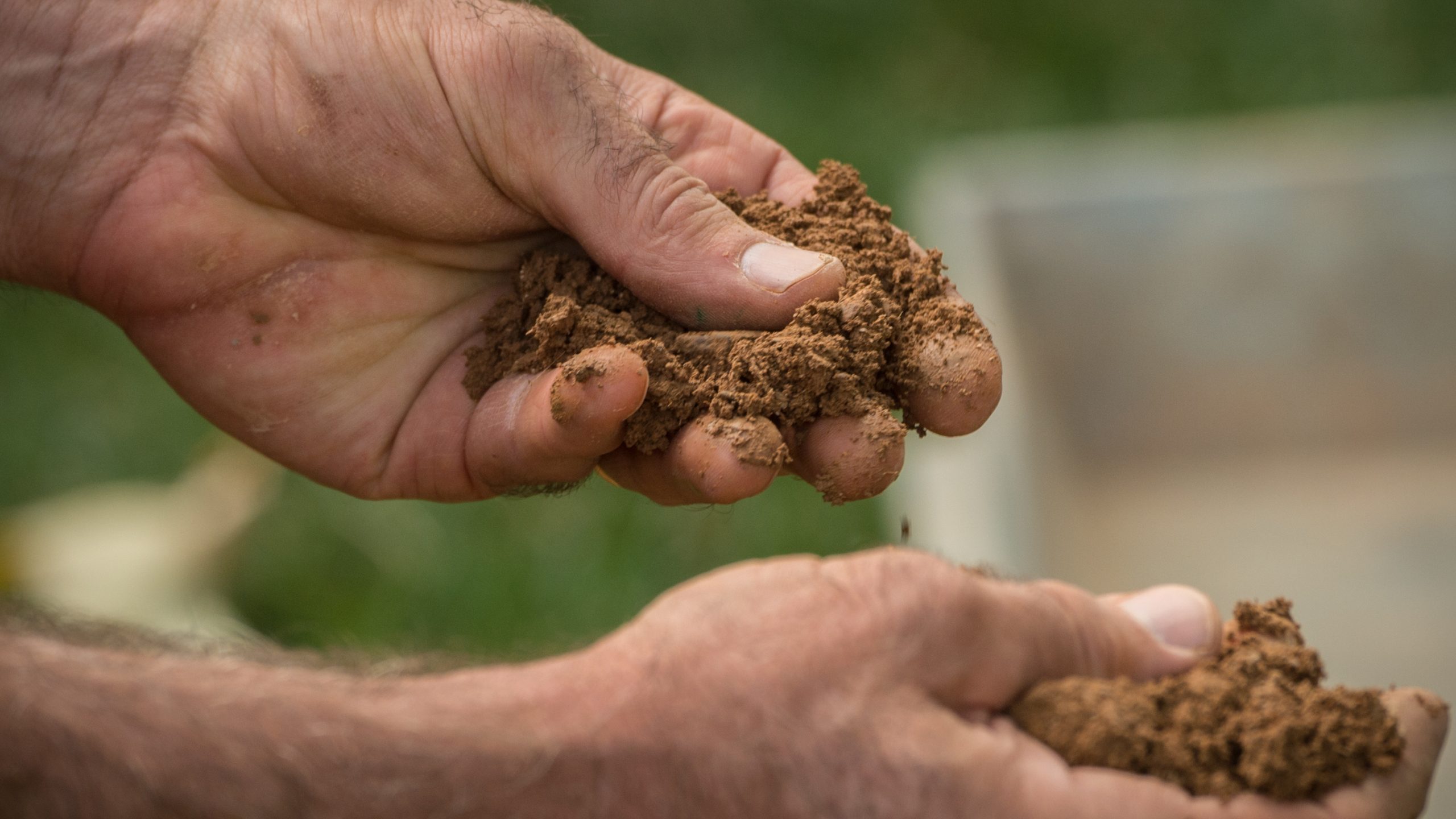 Soil Health and Water Management Field Day | August 28, 2025 | Allen ...